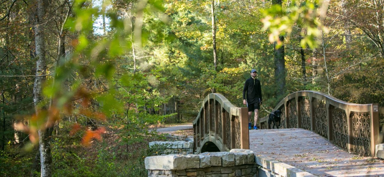 Biltmore Park vs. Biltmore Lake vs. The Ramble: Communities Near ...