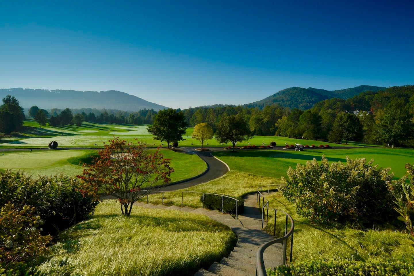 The Complete Guide to Living in Arden, NC
